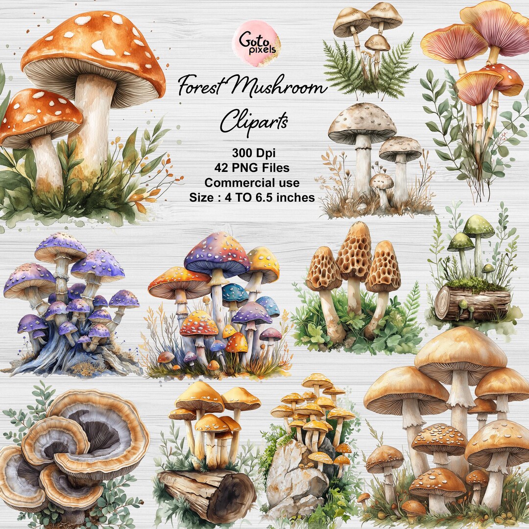 Watercolor Mushroom Clipart - Forest Toadstool Clip Art PNG File ...