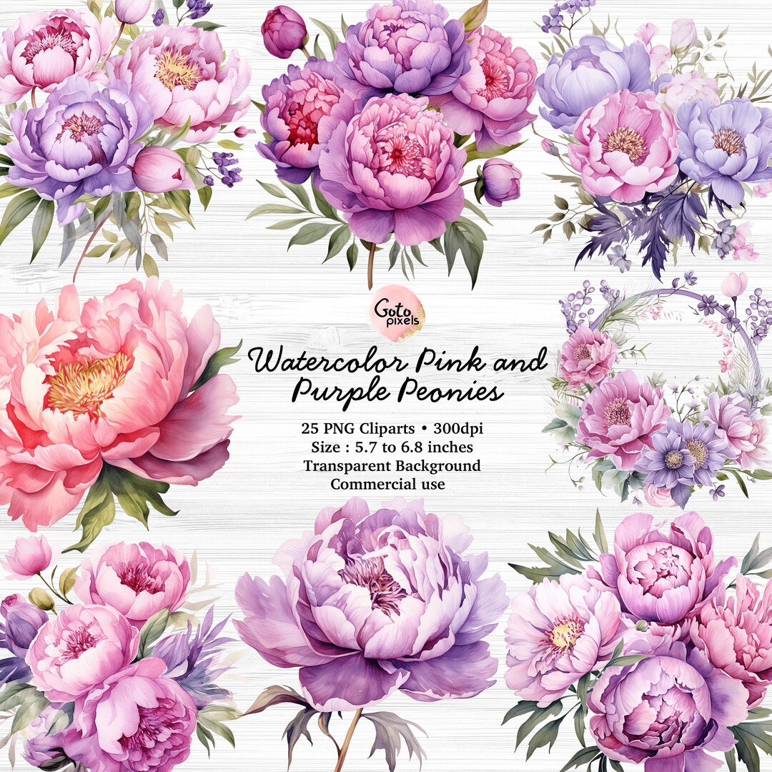 Watercolor Purple Peony Clipart, Pink Peony Clip Art, Transparent ...