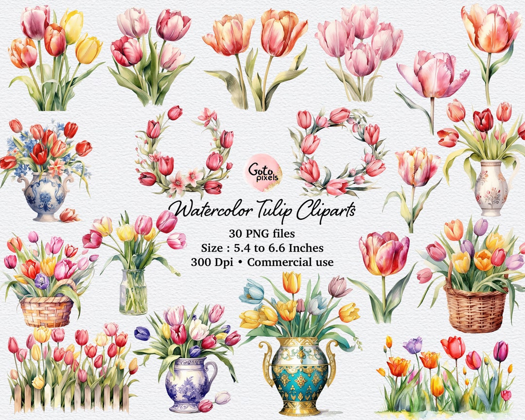 Watercolor Tulips Clip Art - PNG Format Flower Clipart Instant Download ...
