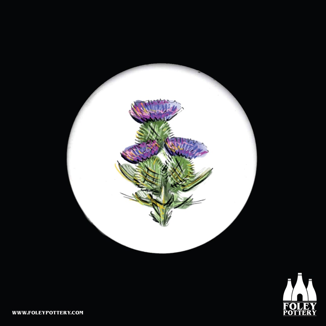 G: Thistle, Thistles, Spring Flower, Wild Flower, Gardening, Allotment ...