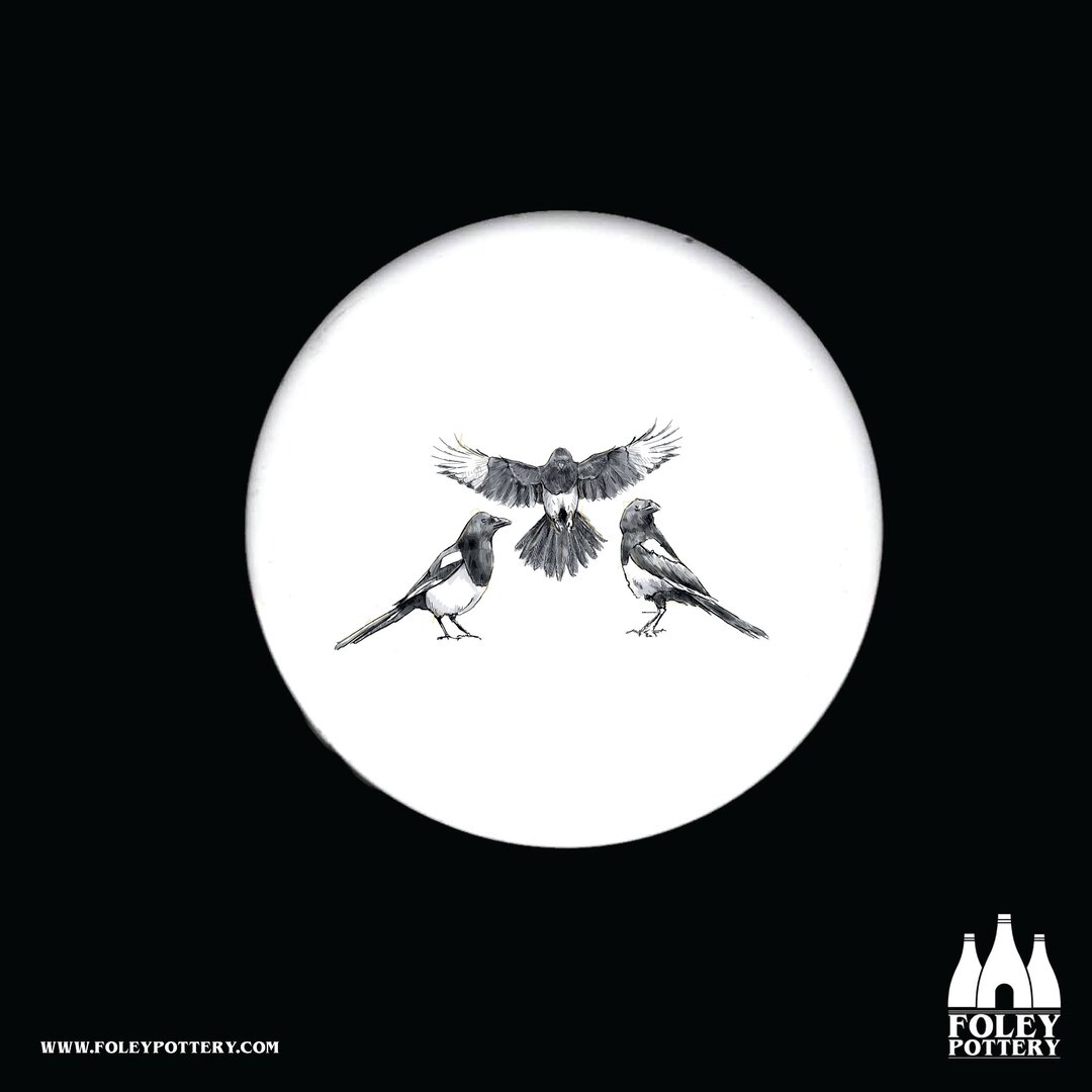 B: Magpie, Magpies, Birds, Birds, Nature, Wild Life, Inspired ...