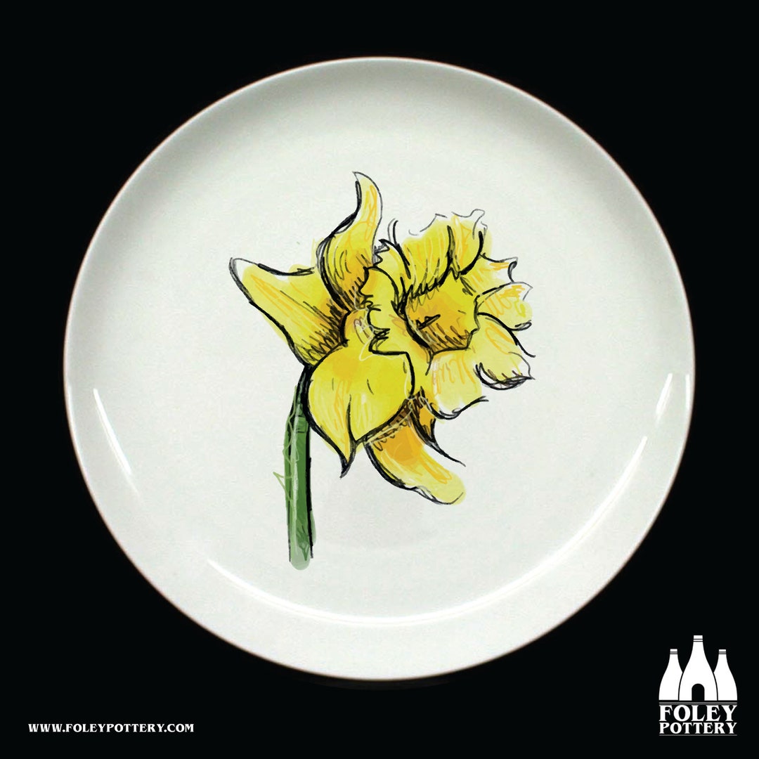 G: Daffodil, Spring Flower, Wild Flower, Gardening, Allotment, Gardener ...