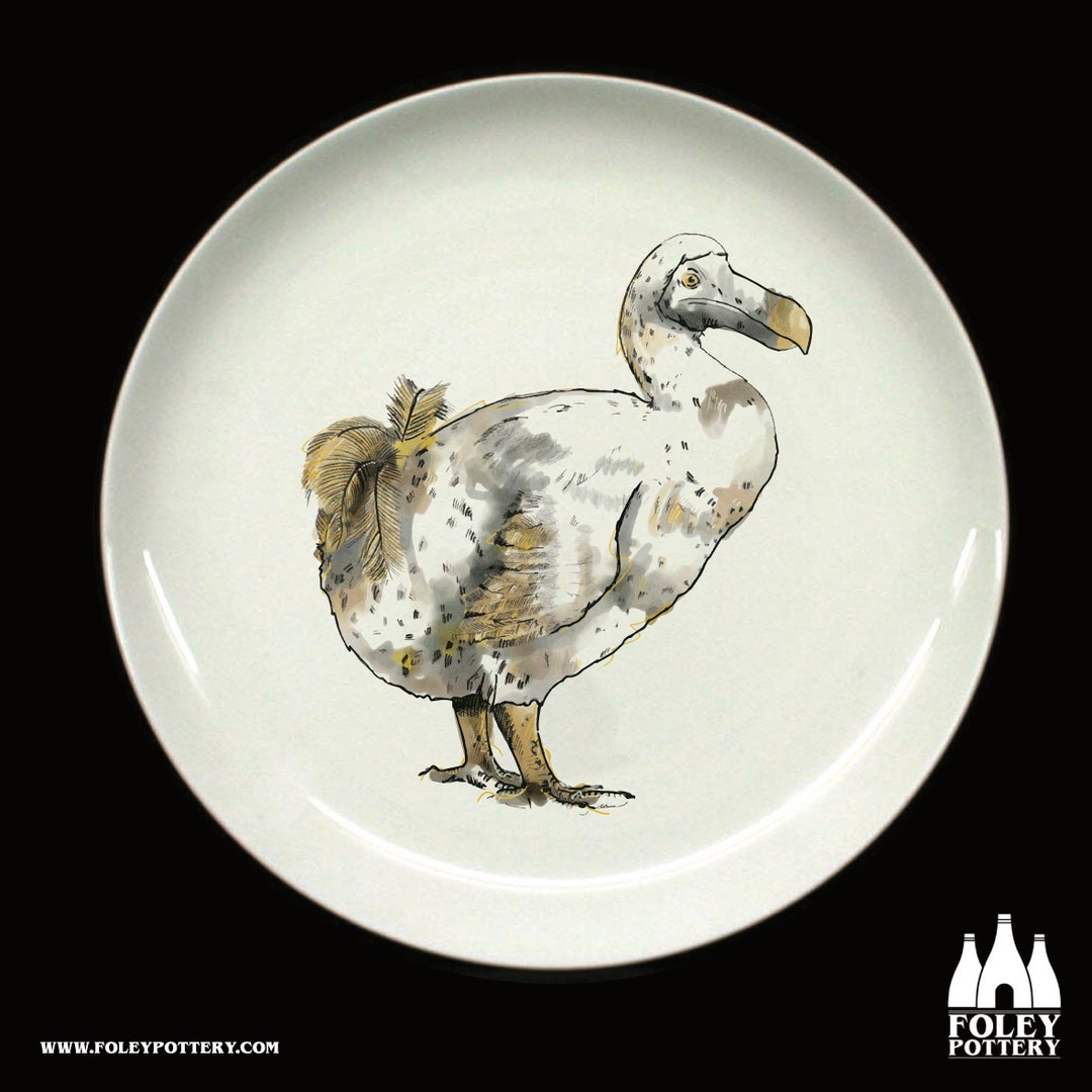 B: Dodo, Dino Bird, Bird, Birds, Wildlife, Nature, Inspired ...