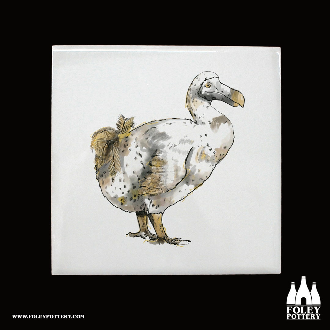B: Dodo, Extinct Species, Bird, Nature, Wildlife, Inspired, Illustrated ...