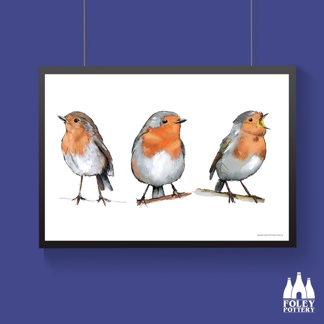 B: Robin, Robin Red Breast, British Bird, Birds, Bird - Illustrated ...