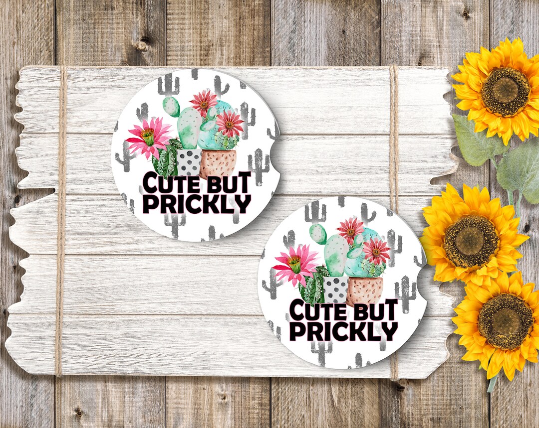 Cute but Prickly Sandstone Car Coaster, Vehicle Coaster, Cup Holder ...