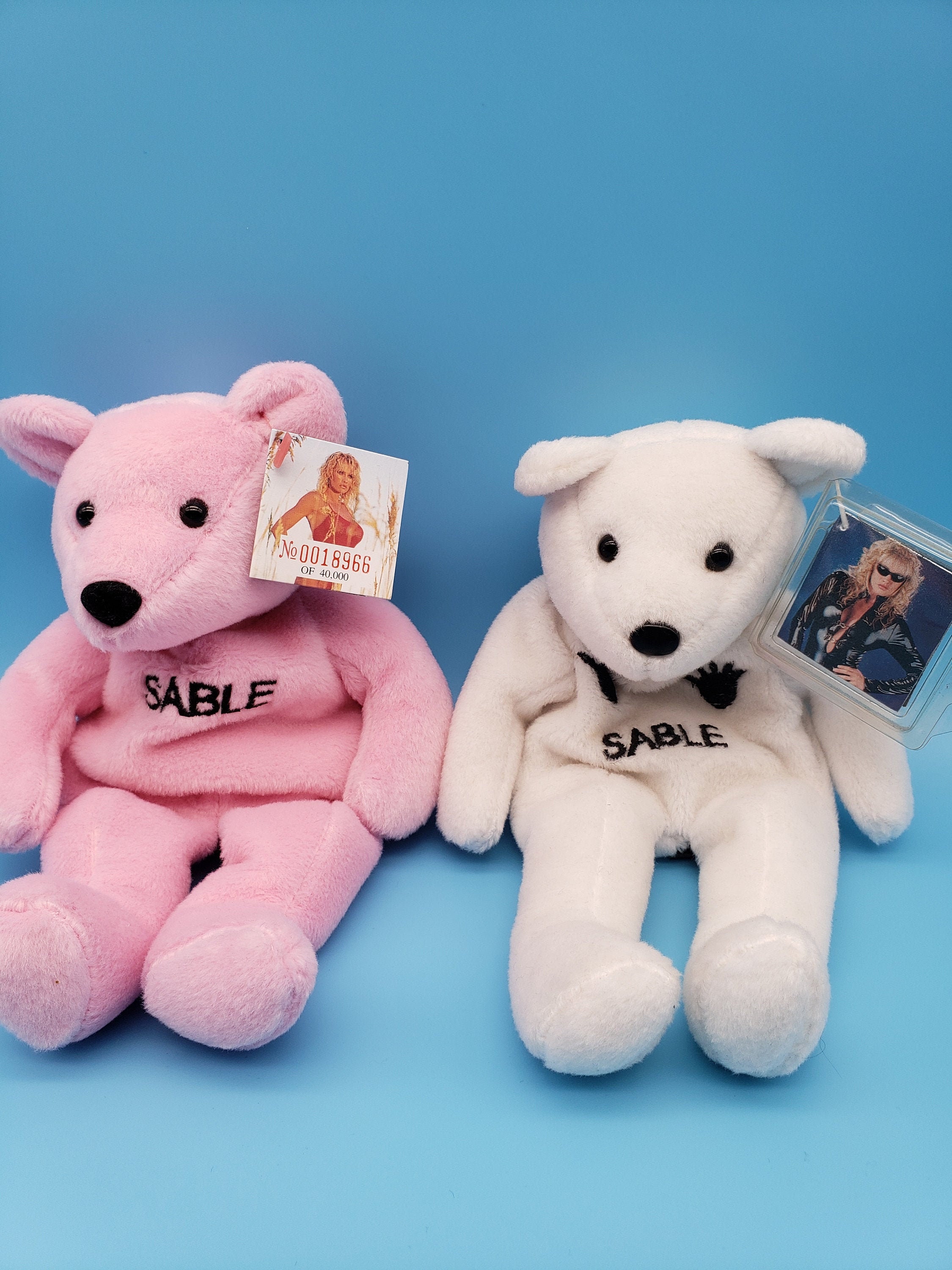 Sable Wwe Attitude Bears (set of 2) With Display Cases - Etsy