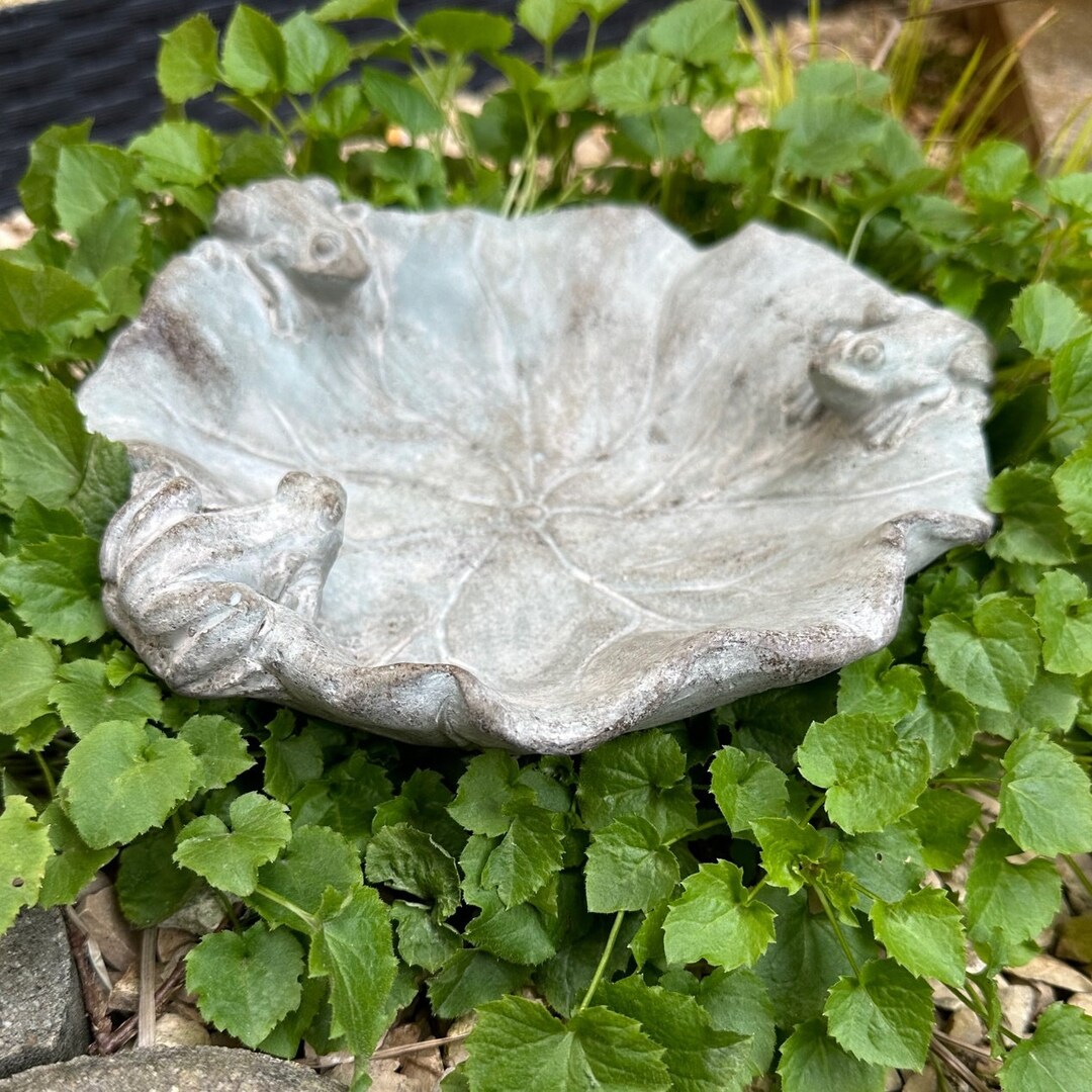 Bird Bath, Bird Bath, Water Point, Bird Basin, Bird Feeder With Frogs ...