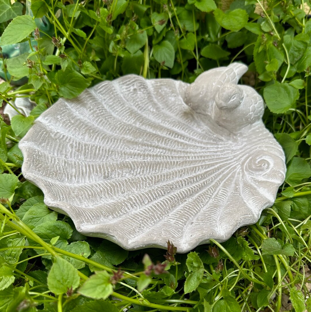 Bird Bath, Bird Bath, Water Point, Bird Basin, Bird Feeder, Shell With ...