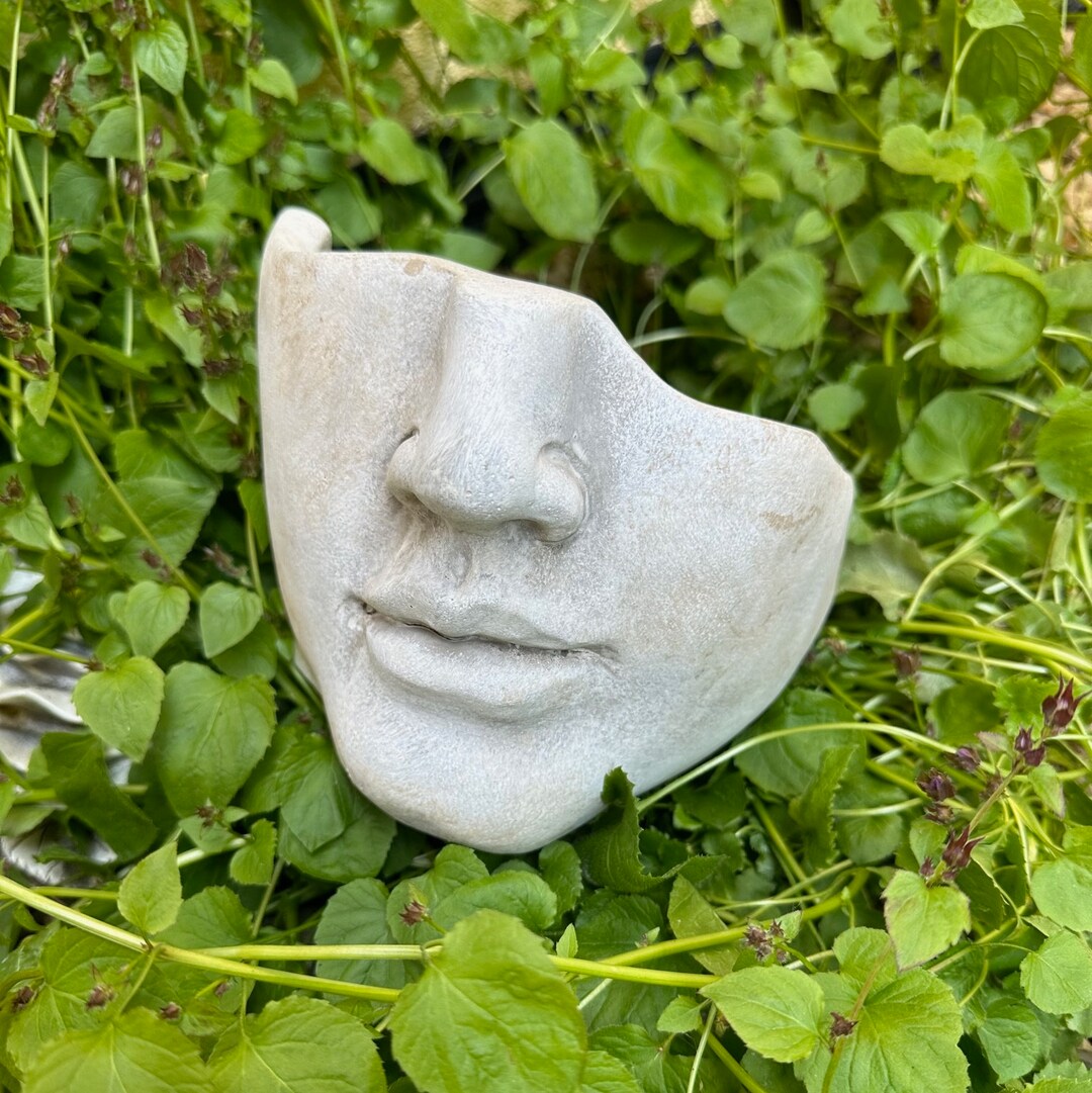 Plant Head Plant Pot Plant Bowl Flower Pot Planter Cast Stone Head Bust ...