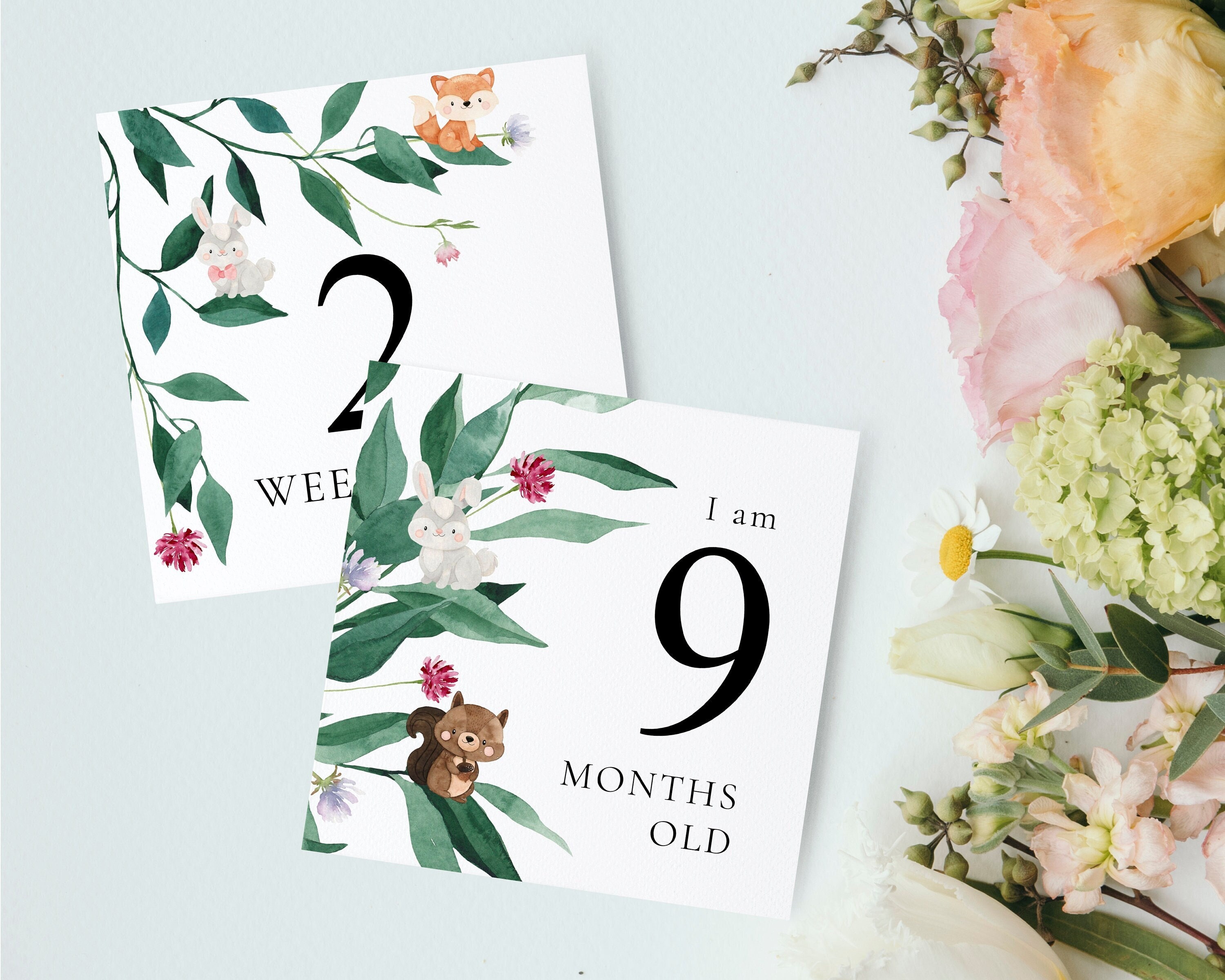 Printable Baby Milestones Cards Instant Download Baby Photo - Etsy