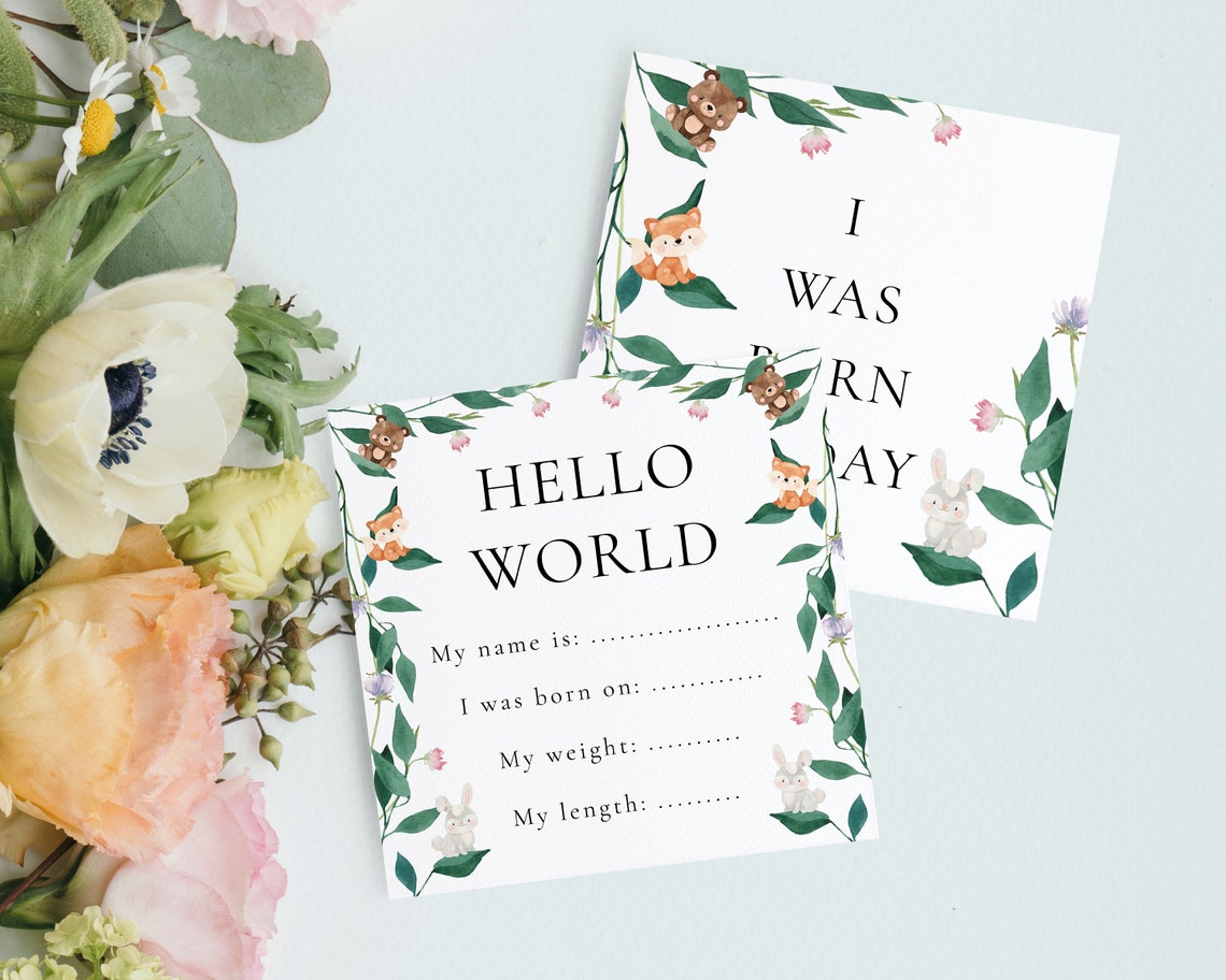 Printable Baby Milestones Cards Instant Download Baby Photo - Etsy