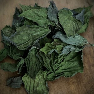 Organic Dried Perilla Leaves, Dried Shiso Herb, Herbal Tea, Culinary ...
