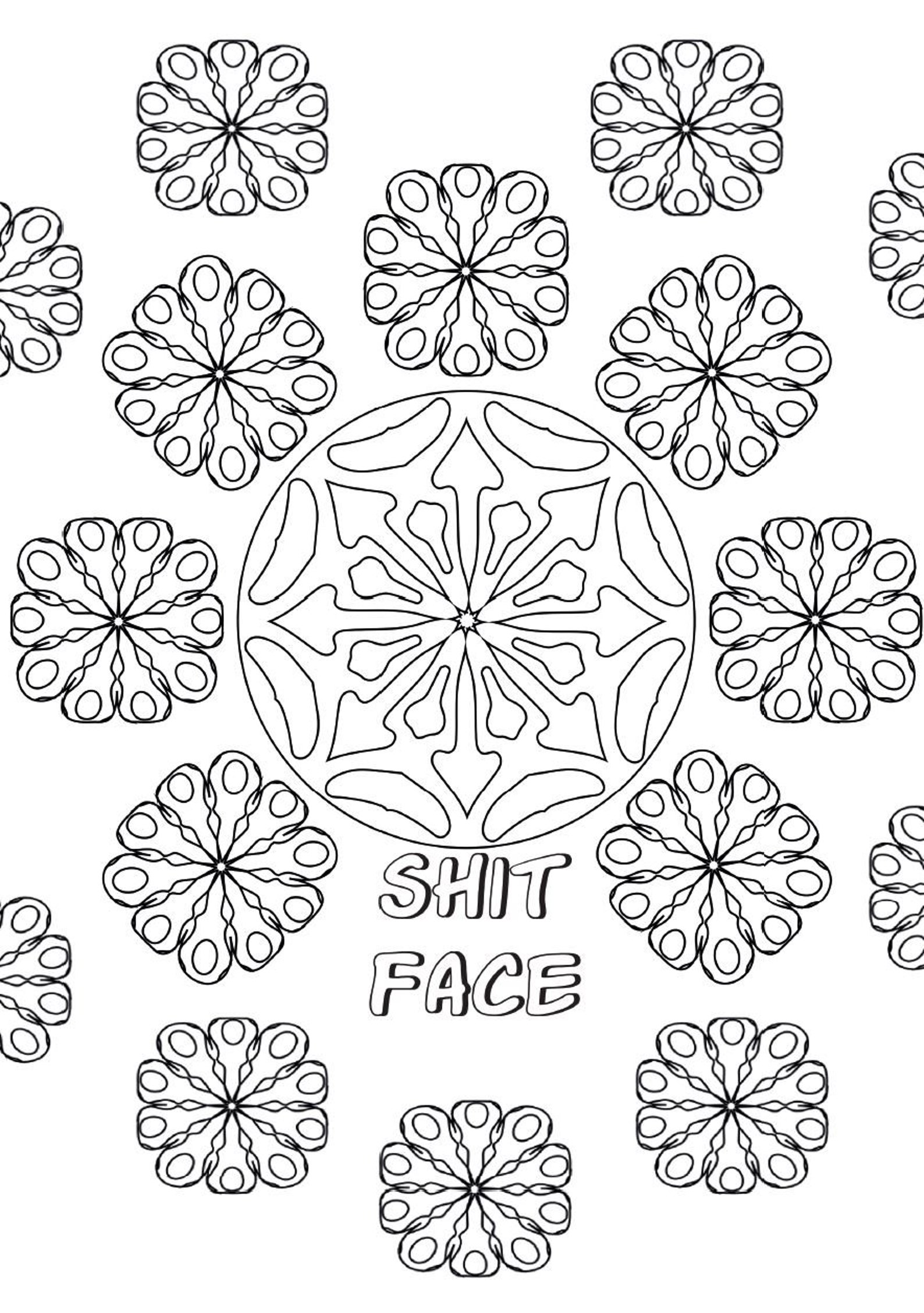8 Adult Swear Word Printable Colouring Pages - Etsy