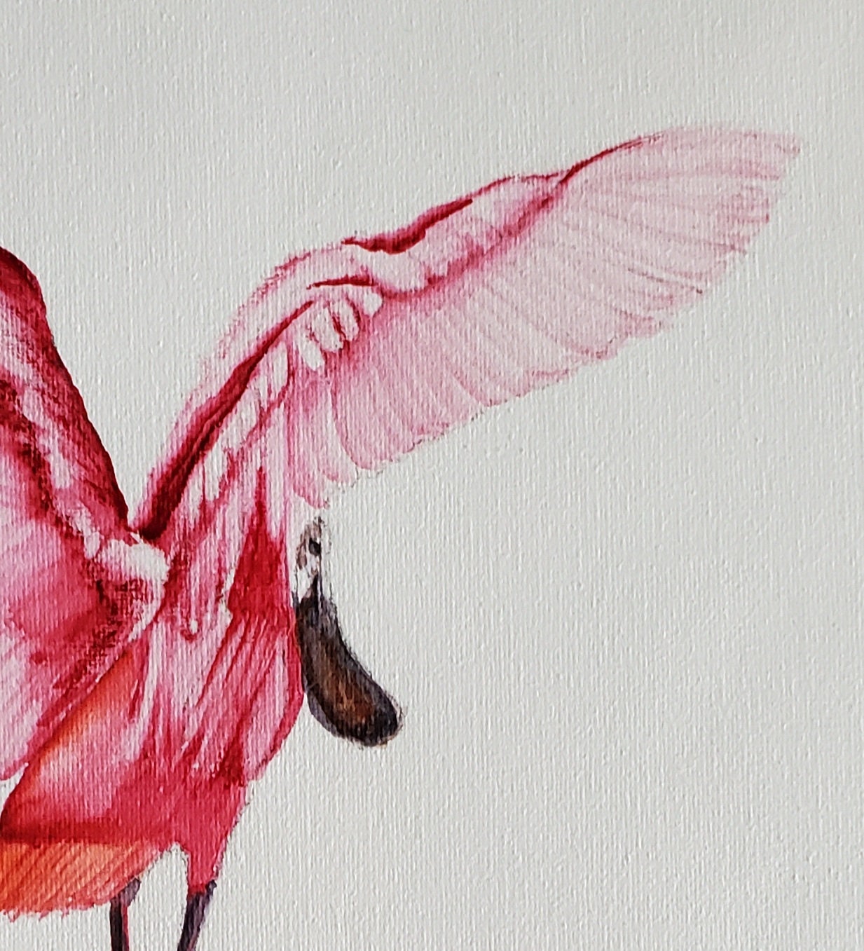 Spoonbill, Spoonbill Bird, Spoonbill Watercolor, Print, Giclee Print ...