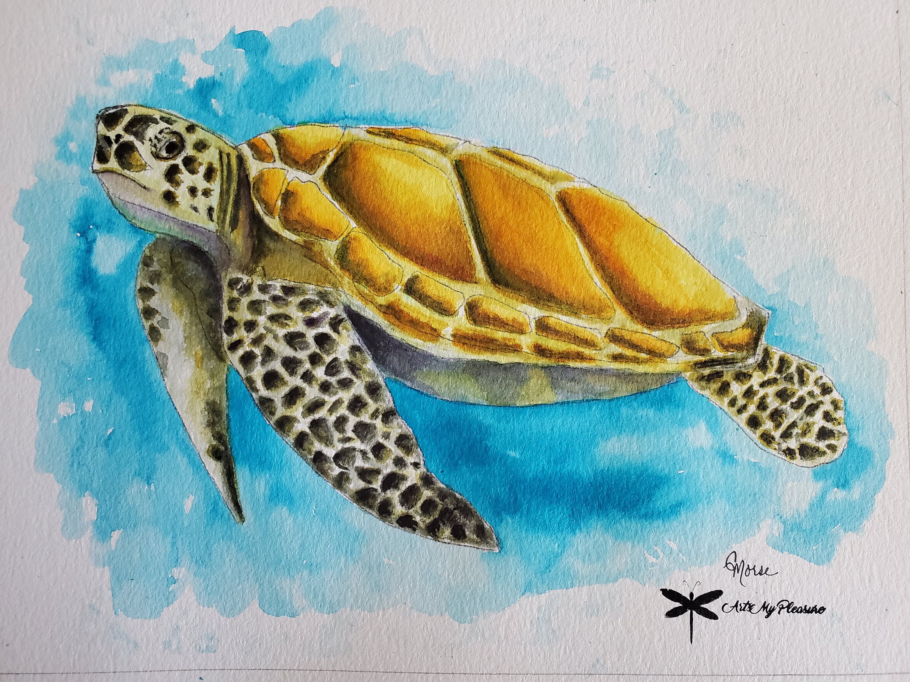 Loggerhead, Loggerhead Turtle, Sea Turtle, Turtle, Wall Decor, Home ...