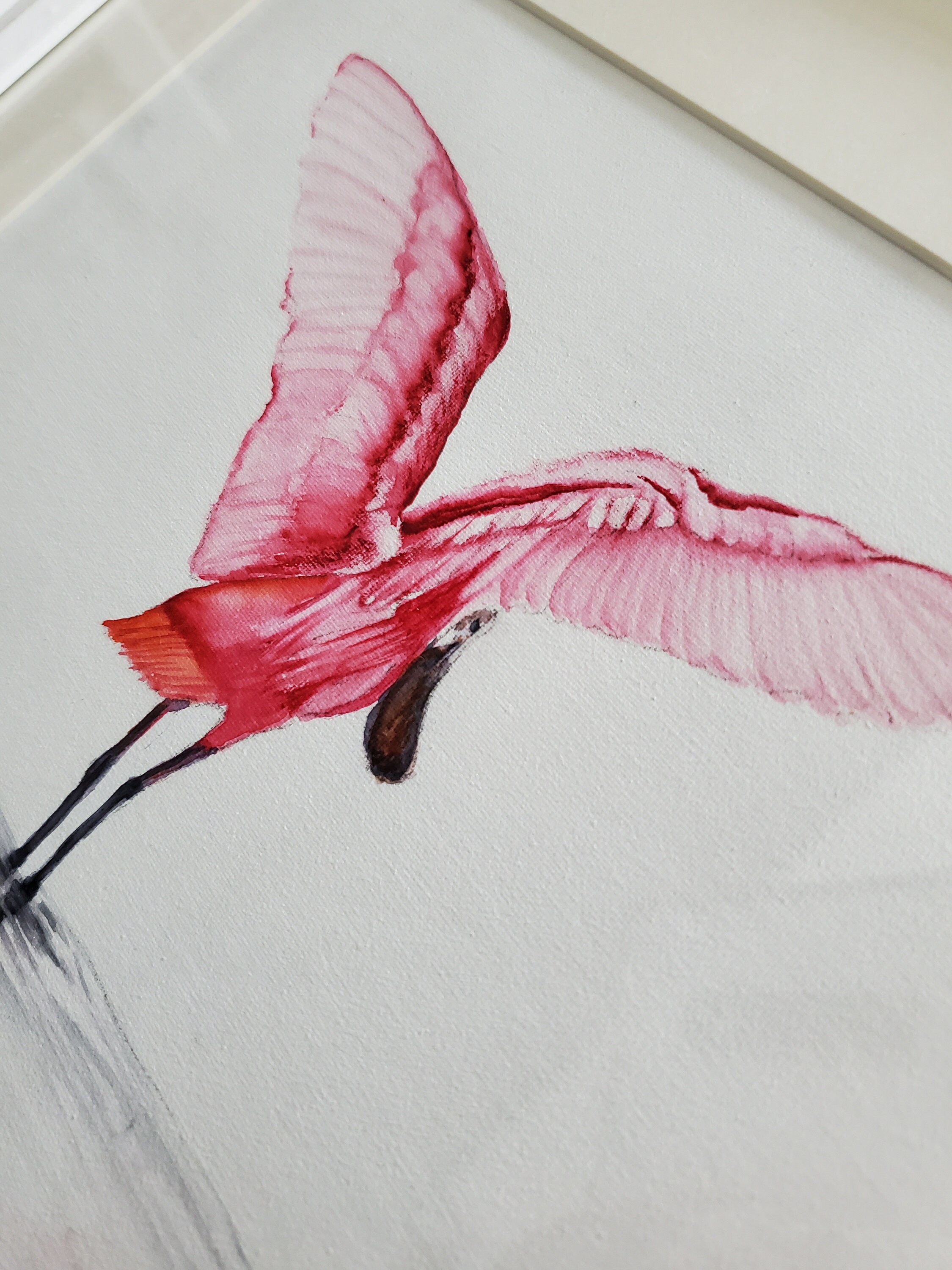 Spoonbill, Spoonbill Bird, Spoonbill Watercolor, Print, Giclee Print ...