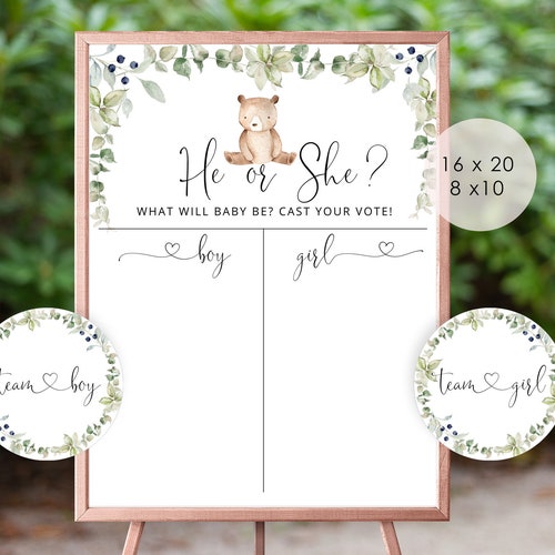 Gender Reveal Boy or Girl Chart. Guess the Gender Sign Gender - Etsy