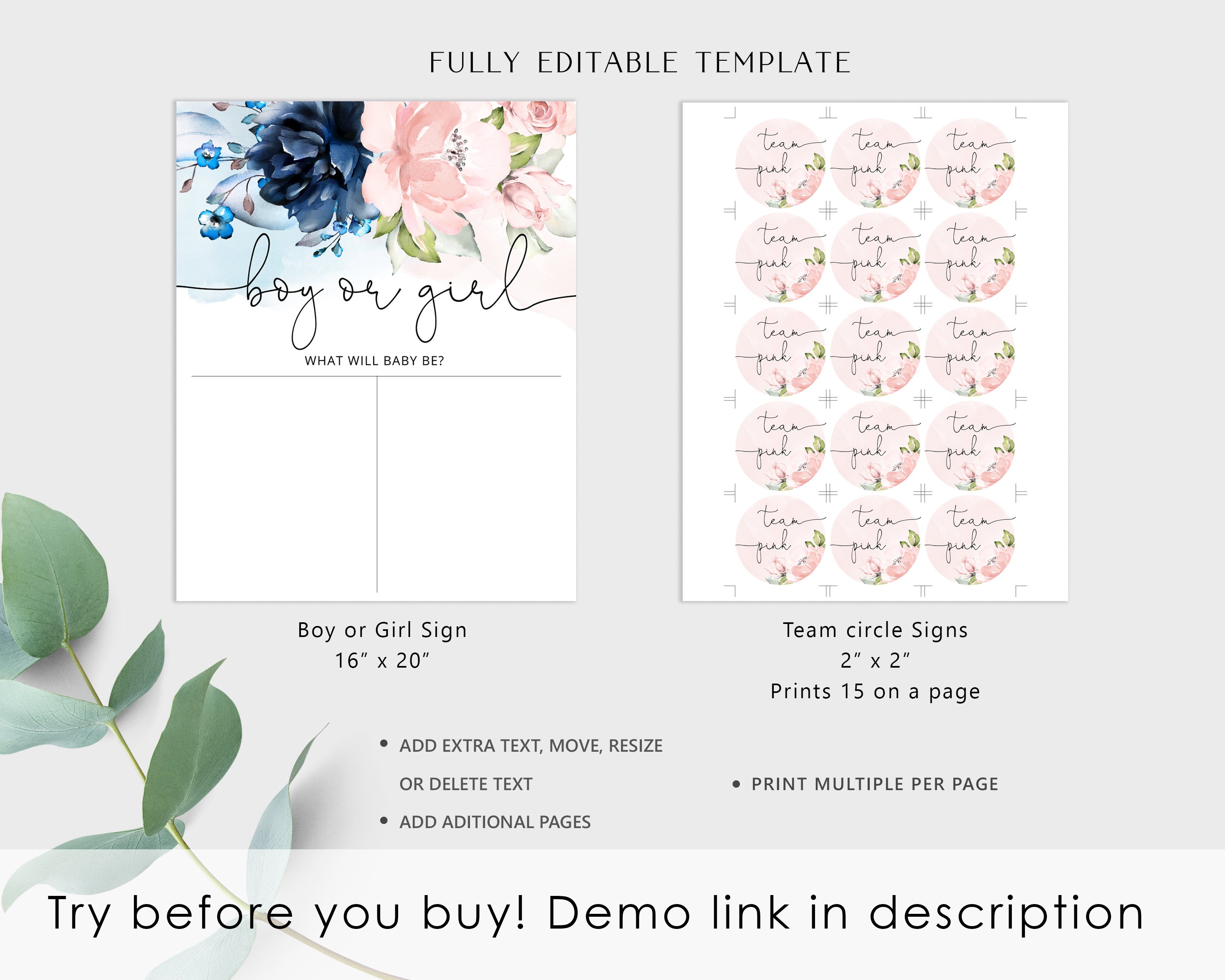 Boy or Girl Chart Guess the Gender Sign Pink and Blue Boy - Etsy UK