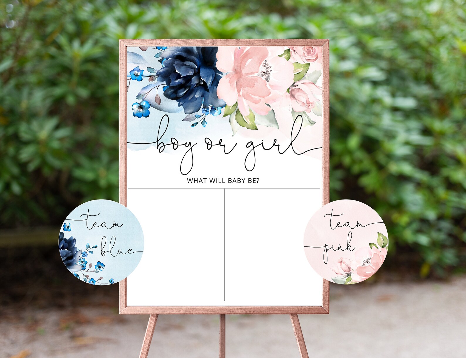 Boy or Girl Chart Guess the Gender Sign Pink and Blue Boy - Etsy