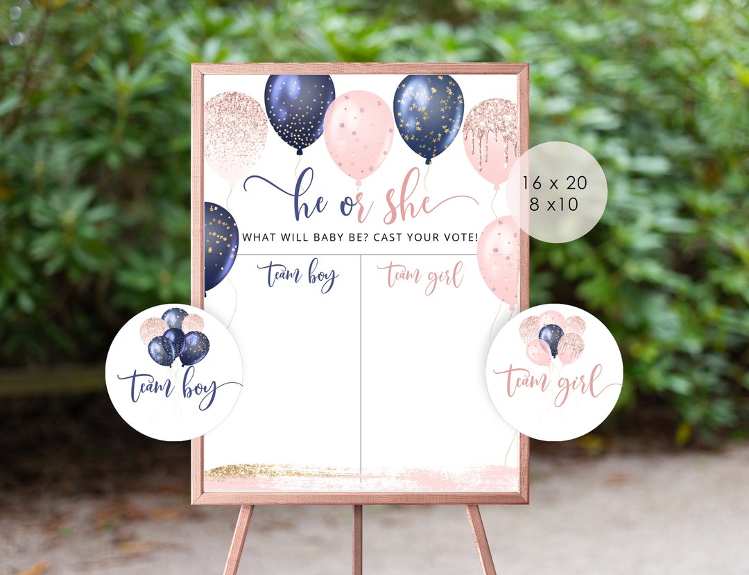 Boy or Girl Chart, Guess the Gender Sign, Pink and Blue, Boy or Girl ...