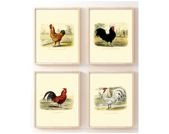 Rooster Prints | Etsy