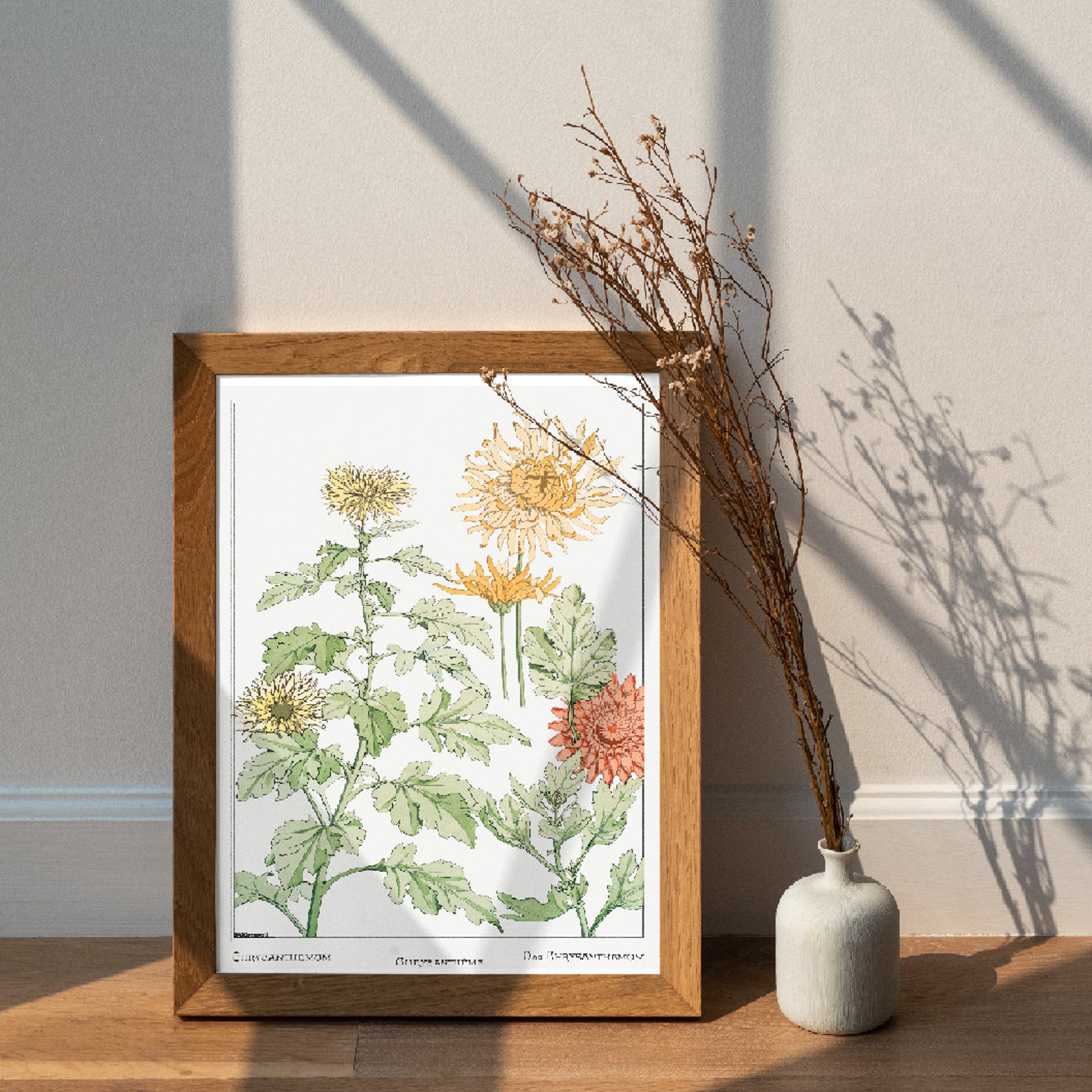 Ink Inc. Botanical Prints Wildflowers - Vintage French Illustration ...