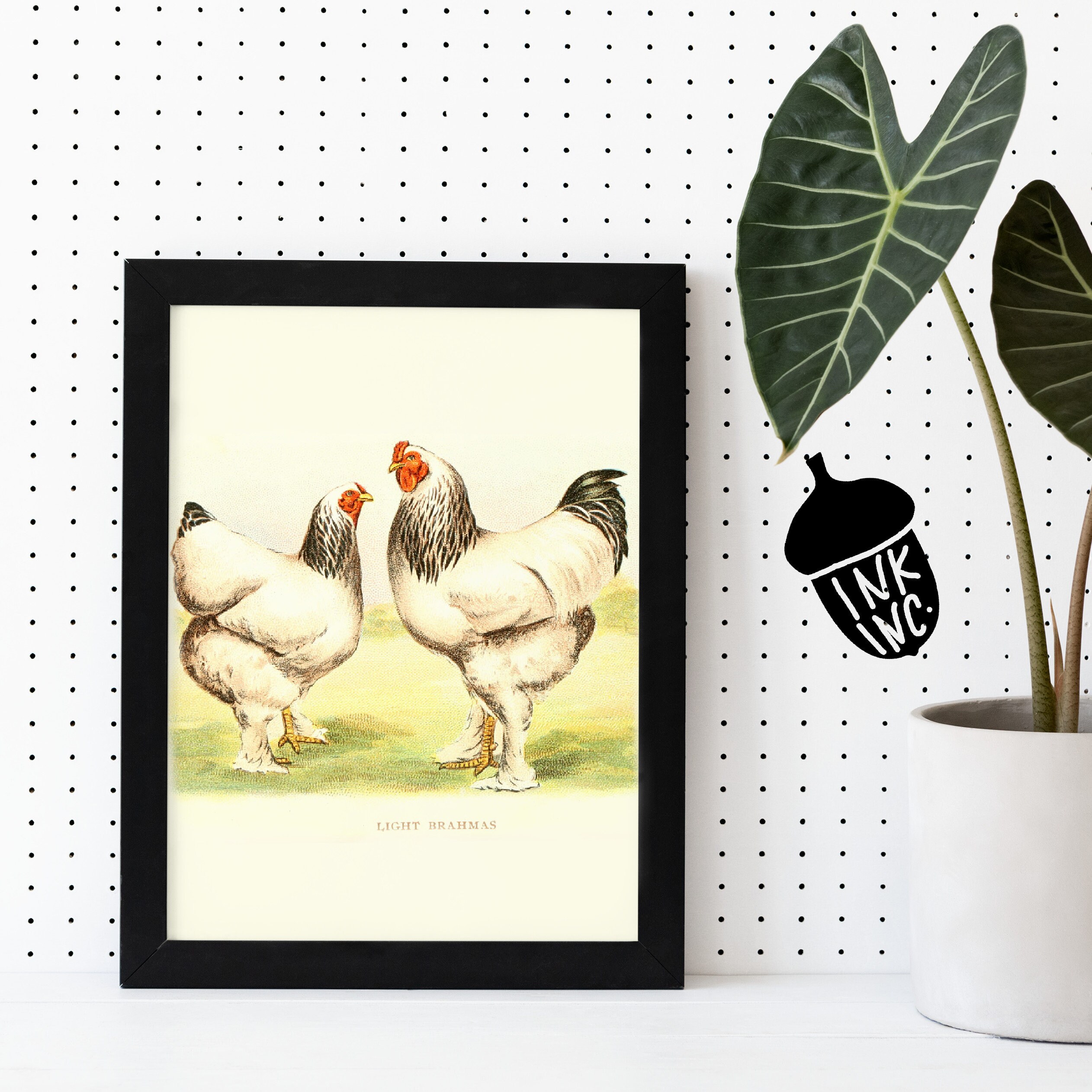 Ink Inc. Wall Art Prints - Chicken Rooster Hen - Set of 6 8x10 ...