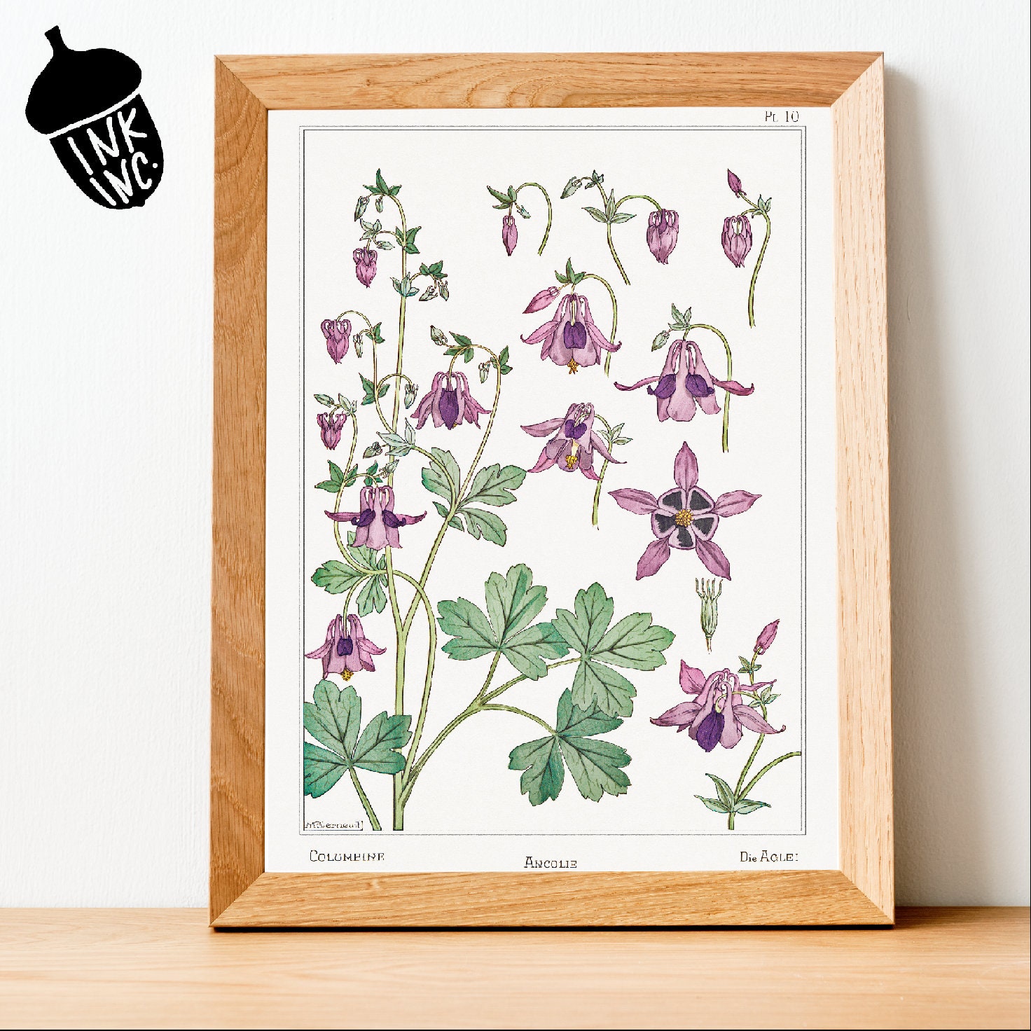 Ink Inc. Botanical Prints Wildflowers - Vintage French Illustration ...