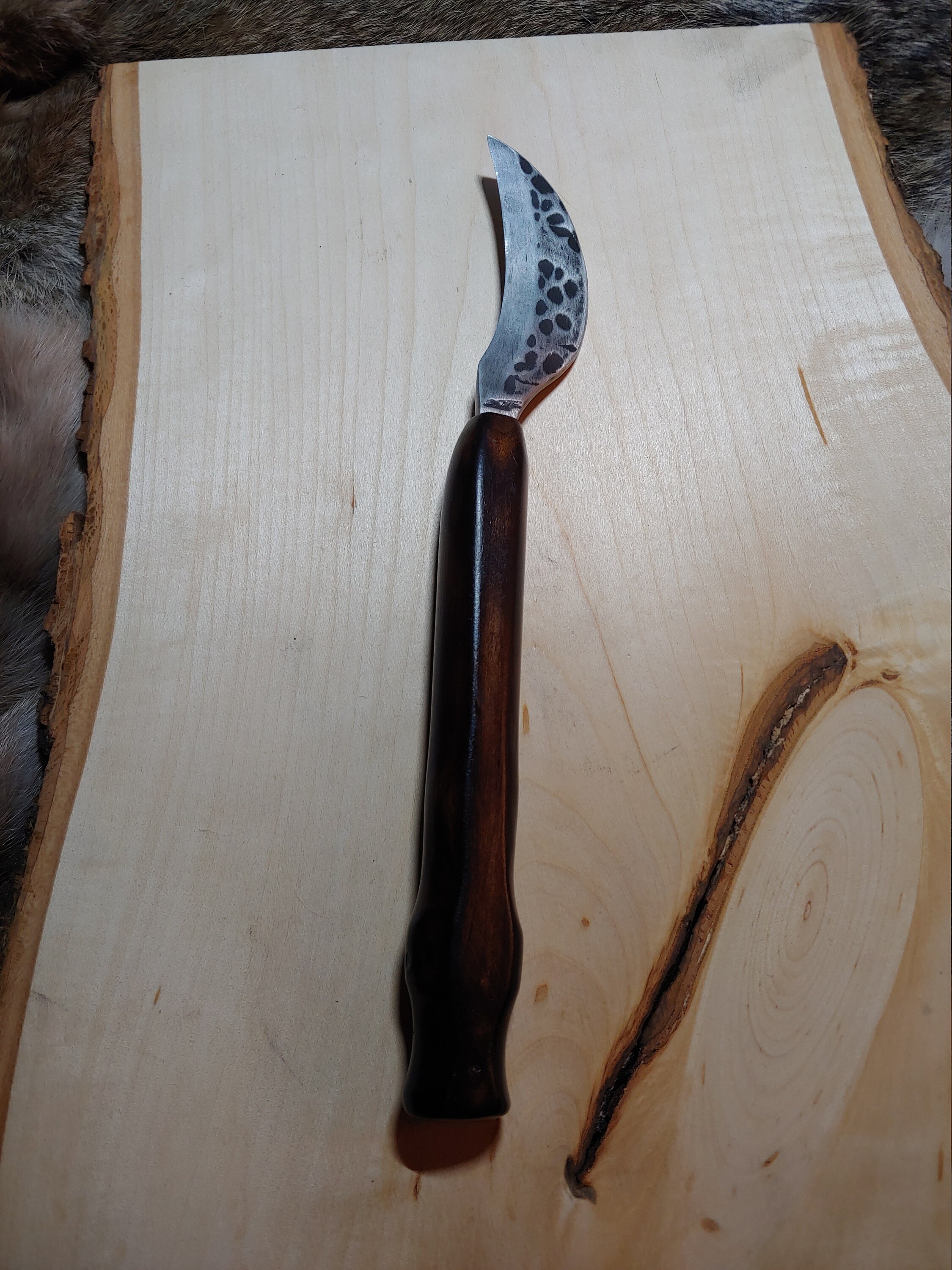 Foraging/mushroom Knife - Etsy