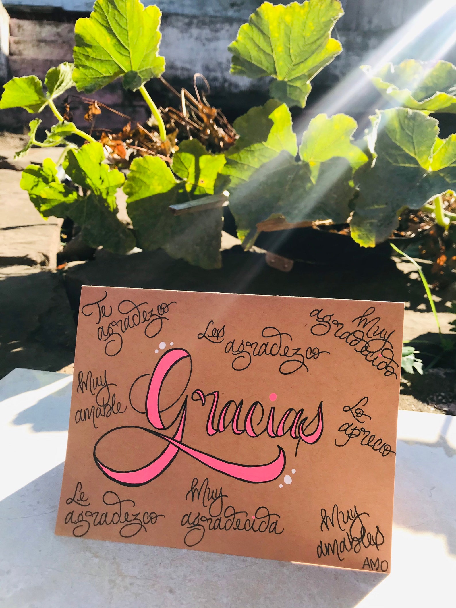 Gracias Tarjeta Muchas Gracias Note Spanish Lettering Thank | Etsy