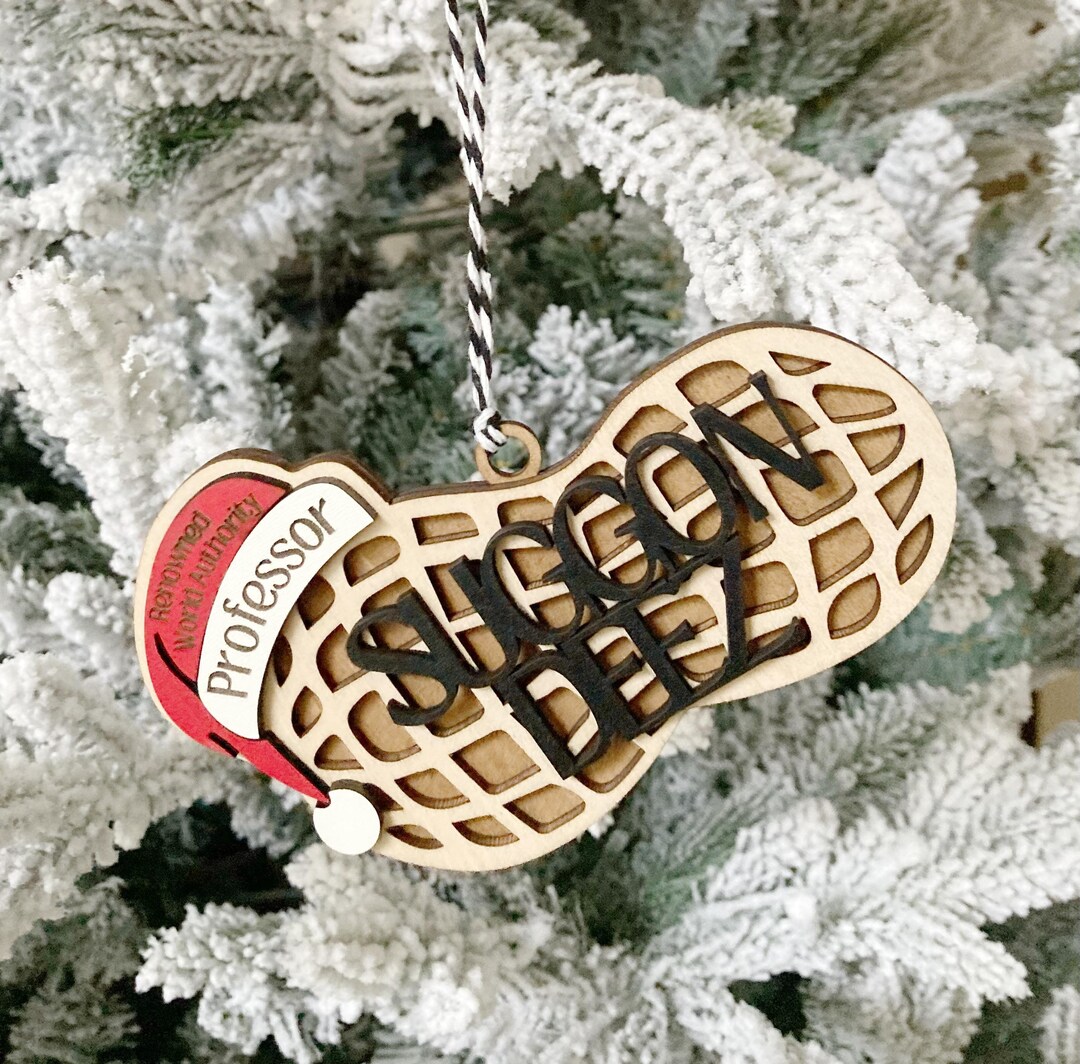 Renowned World Authority Professor Suggon Deez Nuts Funny Christmas ...