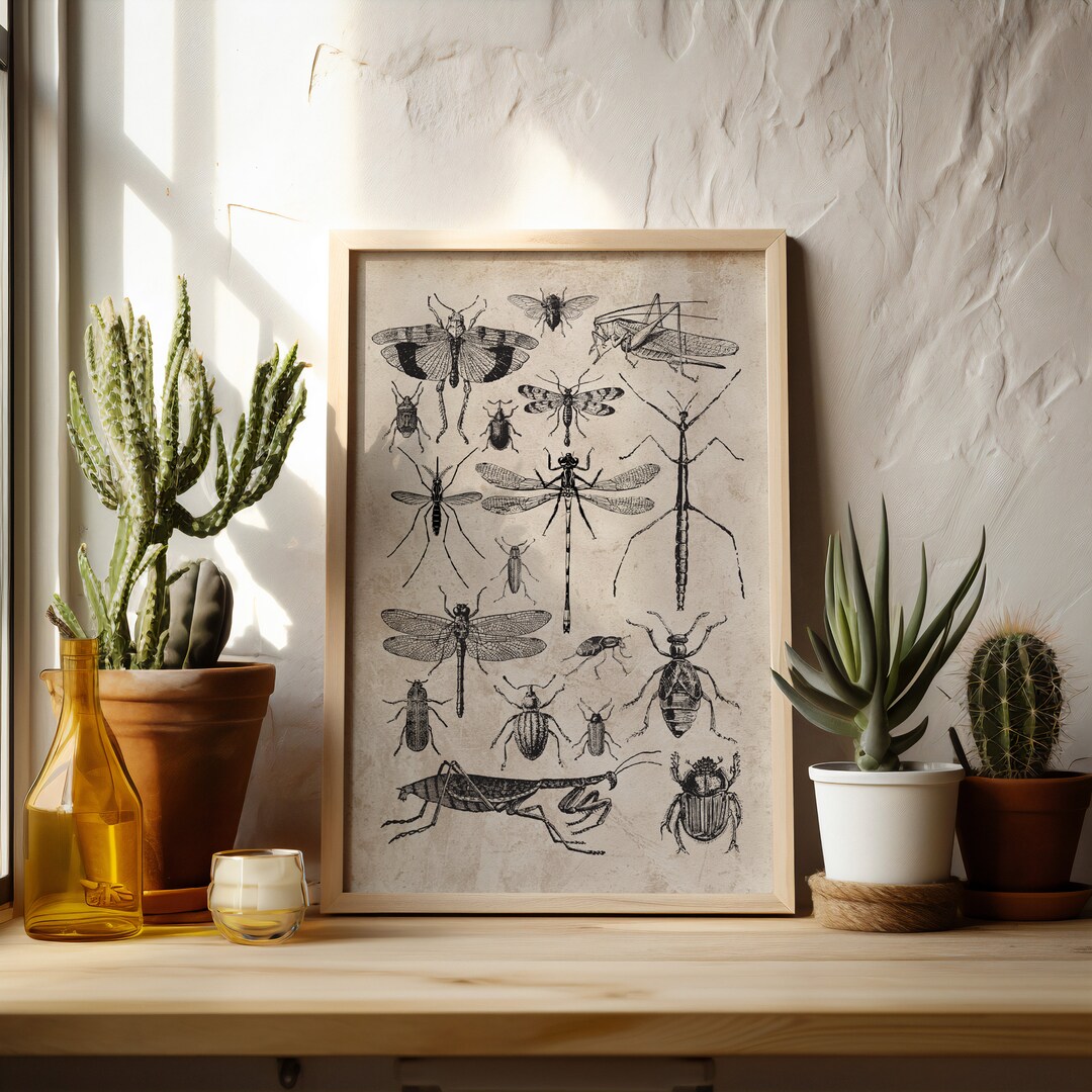 Vintage Insect Print | Digital Download | Insect Collage Print | Insect ...