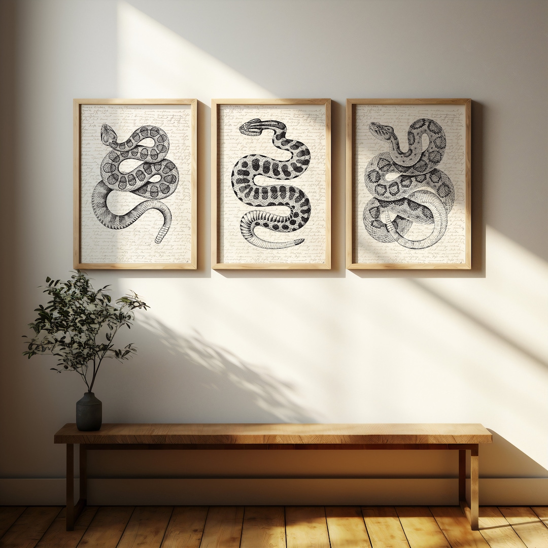 Set of 3 Snake Prints | Digital Downloads | Rattlesnake Prints | Snake ...