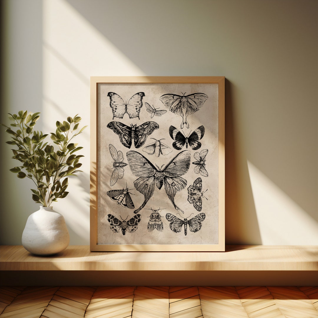 Vintage Moth Print | Digital Download | Moth Collage Print | Moth Print ...