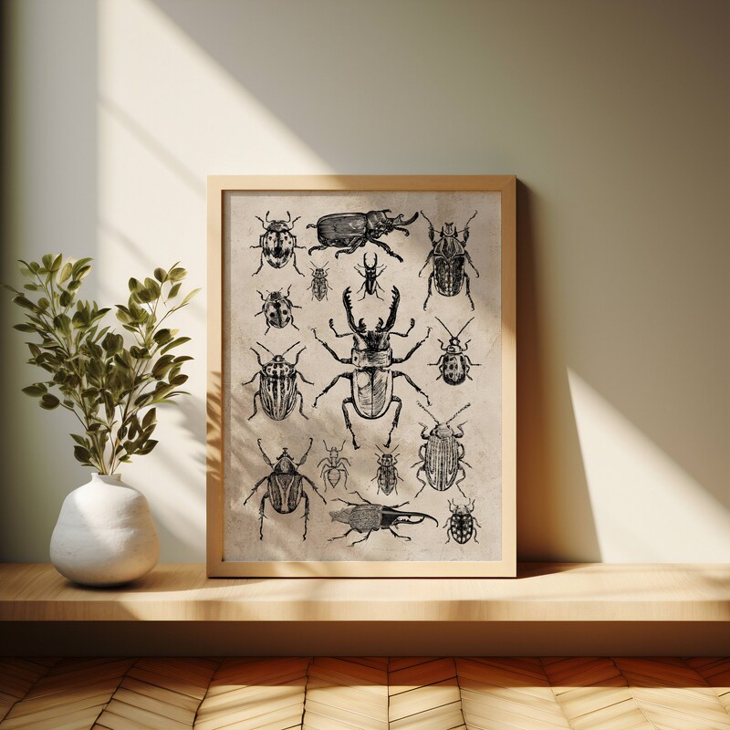 Beetle Print - Etsy