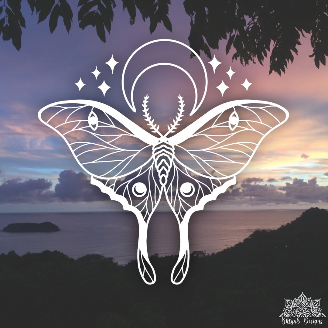 Luna Moth Decal | Luna Moth Car Decal | Permanent Car Decal | Laptop ...