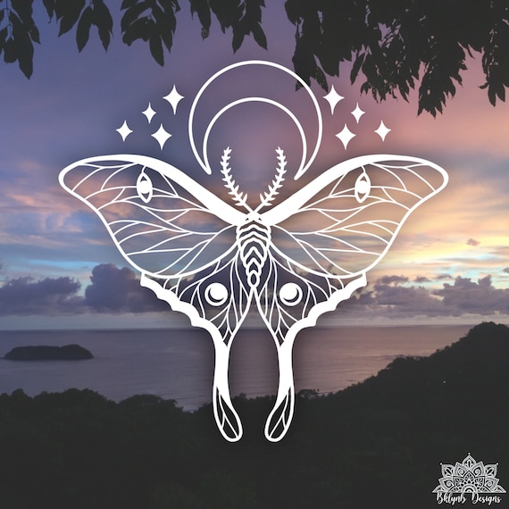 Luna Moth Decal Luna Moth Car Decal Permanent Car Decal - Etsy