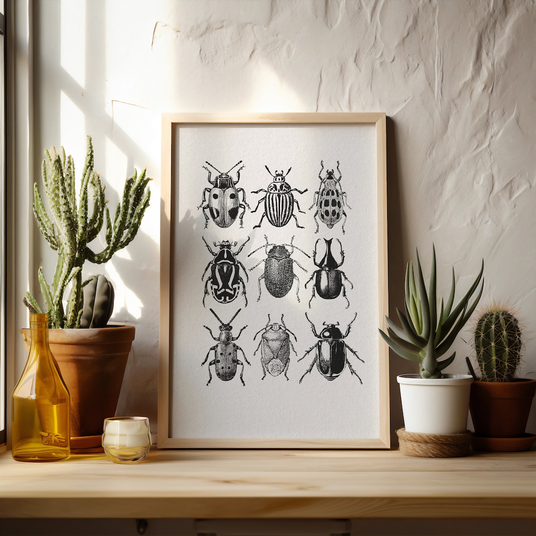 Vintage Beetle Print | Digital Download | Beetle Collage Print | Beetle ...