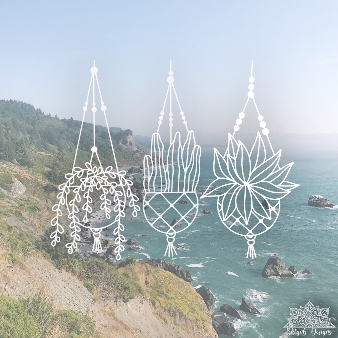 Hanging Plant Decal | Plant Decal | Permanent Car Decal | Decorative ...