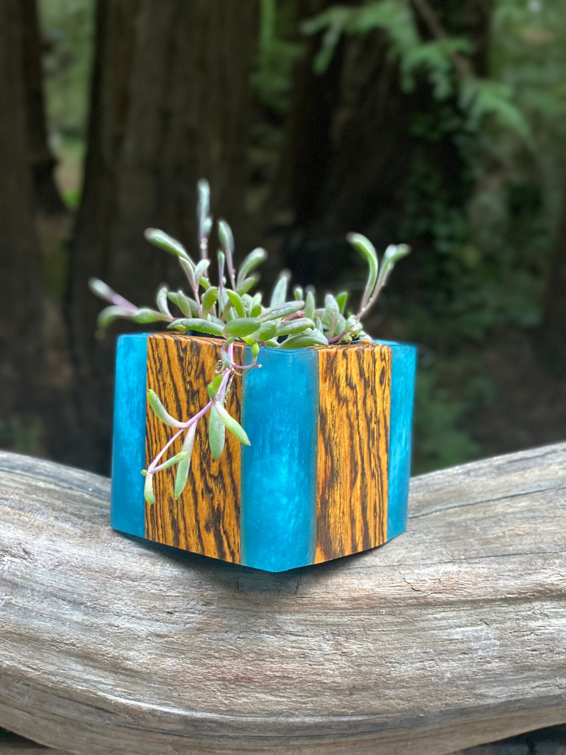 Home & Living Home Décor Live Edge Planter with Oak Burl and Tahoe Blue ...