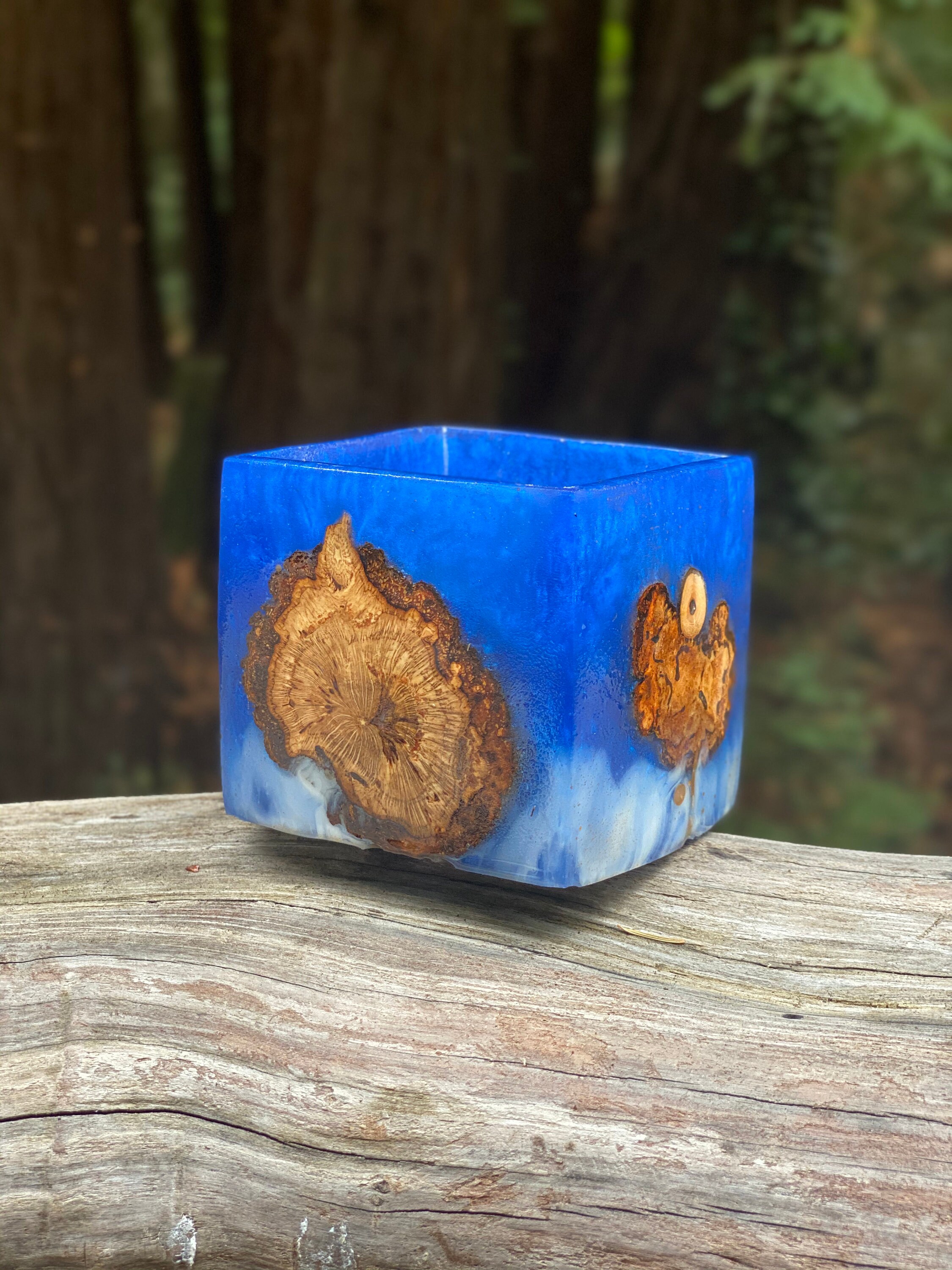 Home & Living Home Décor Live Edge Planter with Oak Burl and Tahoe Blue ...