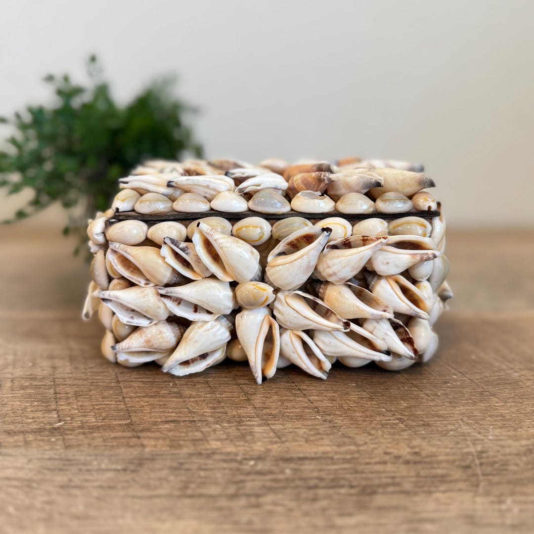 Vintage Seashell Box Shell Jewelry Box Catch All Coastal Beach Decor - Etsy