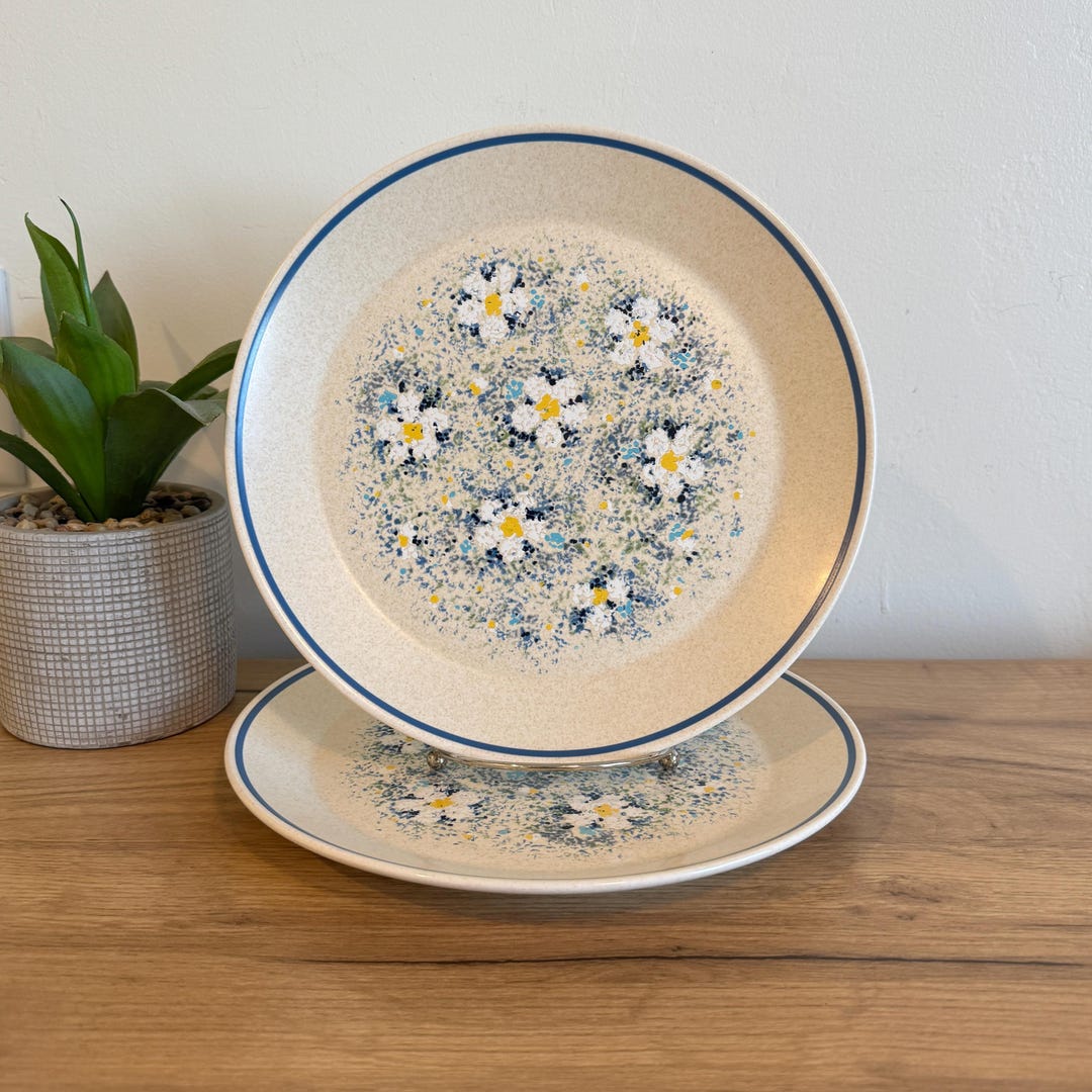 Lenox Temper-ware Dewdrops Plates | Set of 2 Dinner Plates | Speckled ...