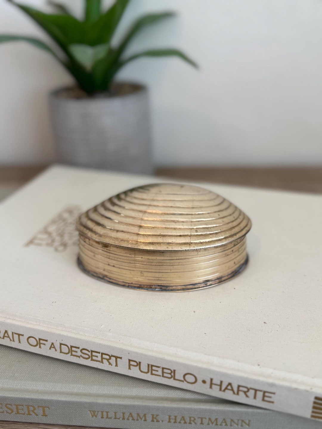 Vintage Brass Shell Box Clam Shell Jewelry Box Seashell Box Trinket ...
