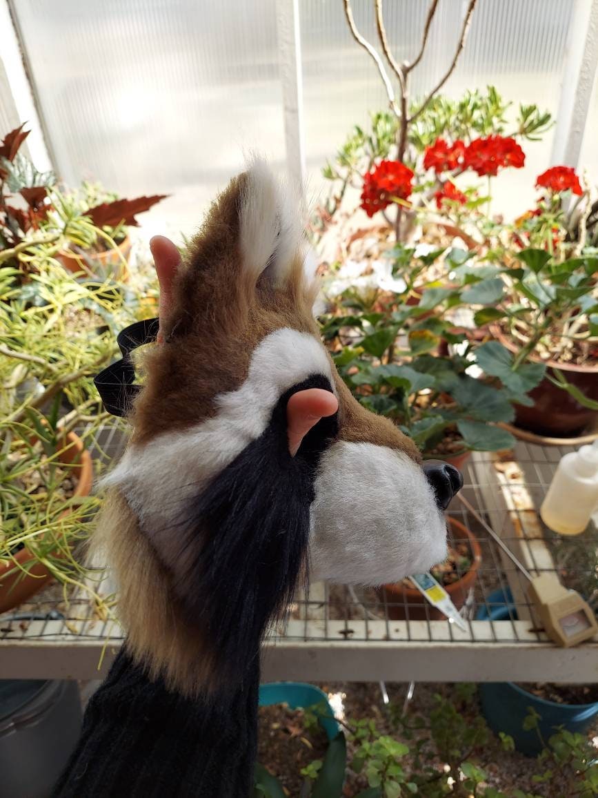 Raccoon Therian/larp Mask - Etsy