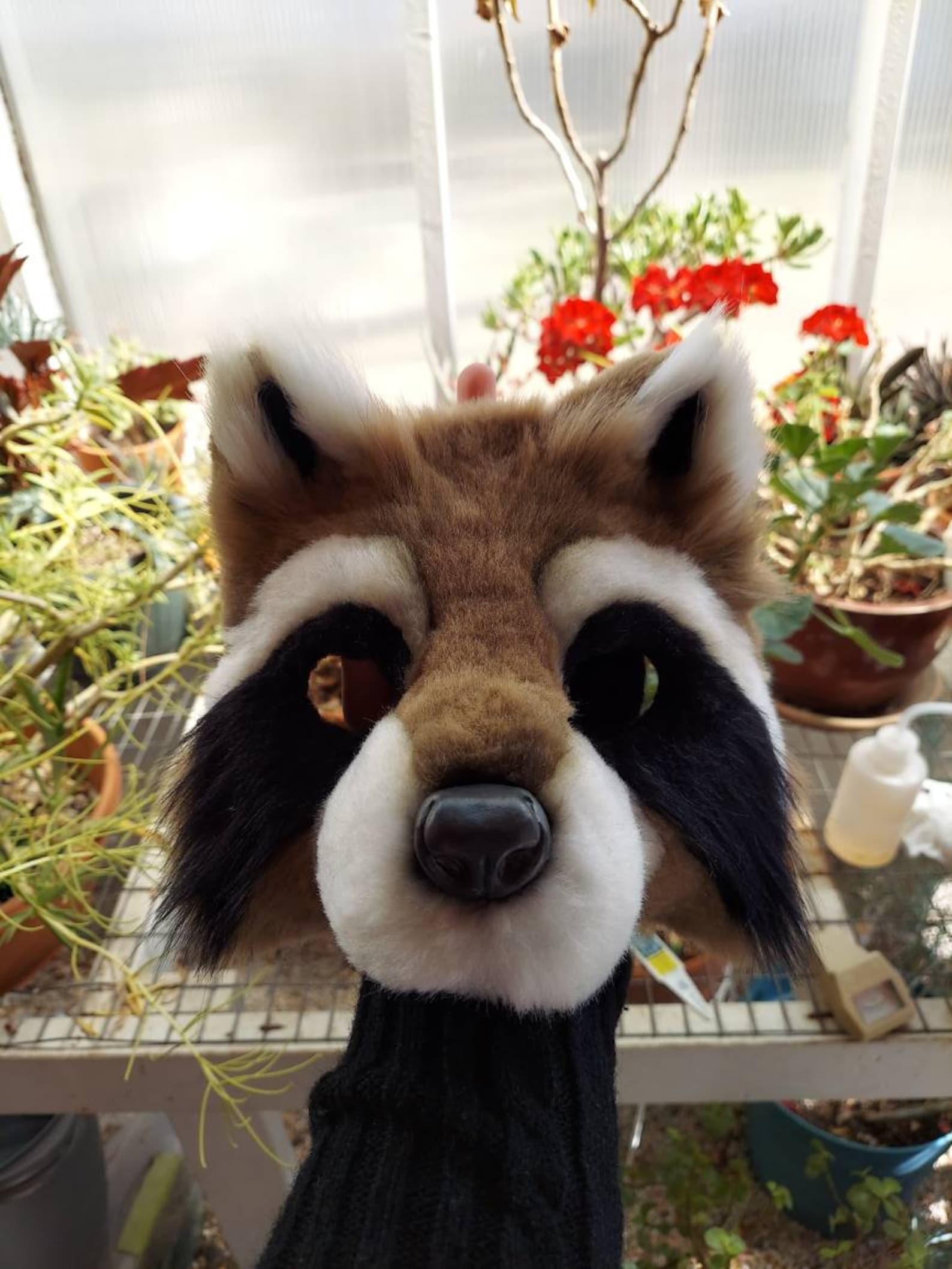 Raccoon Therian/larp Mask - Etsy