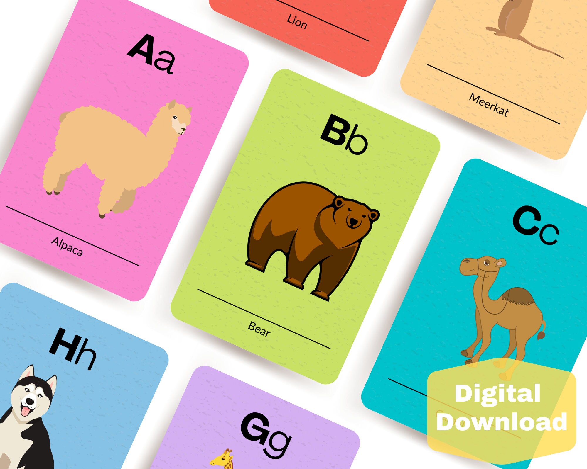Animal Alphabet Flash Cards ABC Animal Flash Cards Alphabet | Etsy