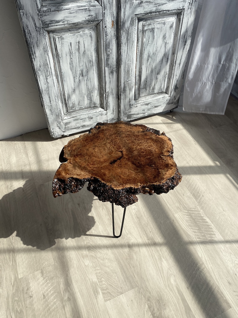 Live Edge Tree Slice Side Table, Rustic Natural Wood Slab Accent Table ...