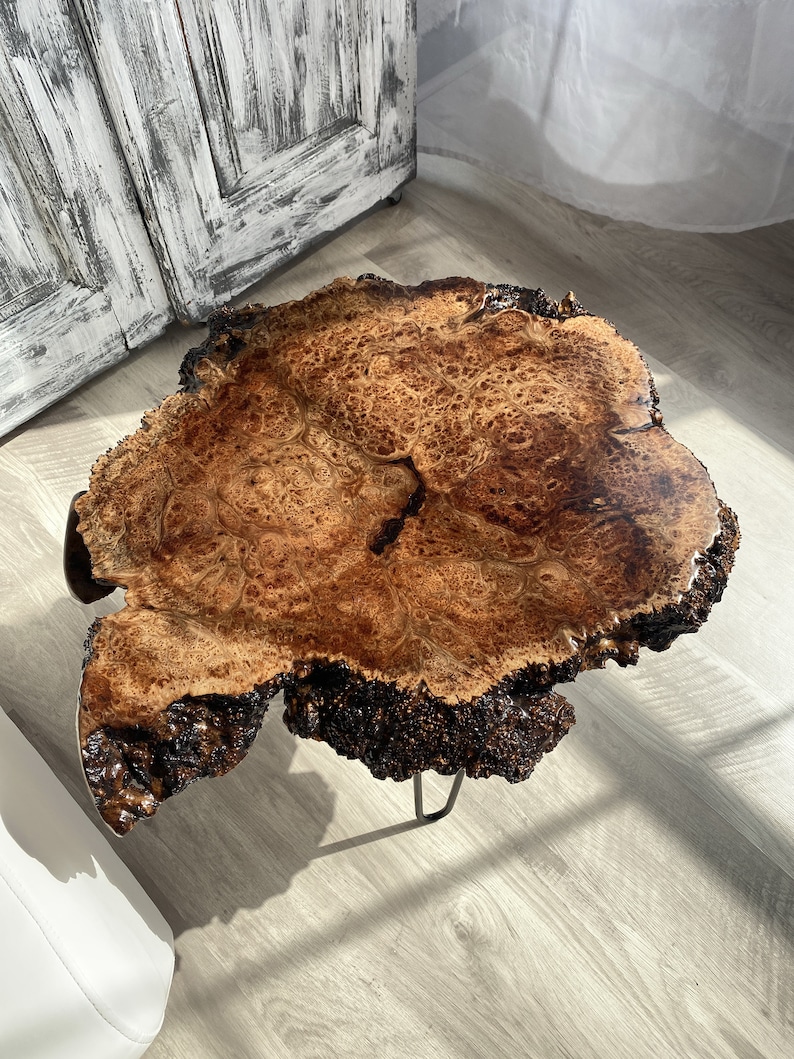 Live Edge Tree Slice Side Table, Rustic Natural Wood Slab Accent Table ...